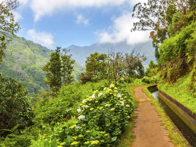 Paradise Valley - Levada Valley - Star Travel Holidays